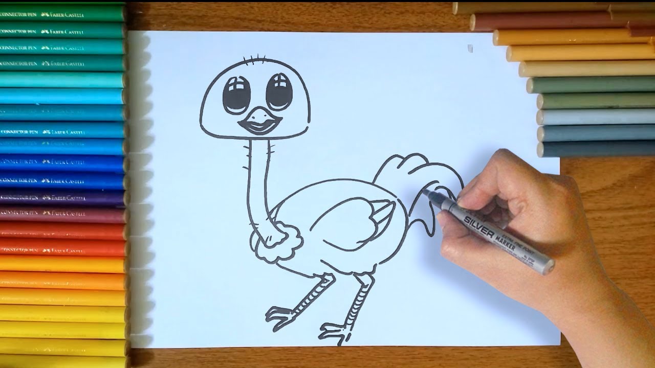 How To Draw a Ostrich step by step for Kids - YouTube