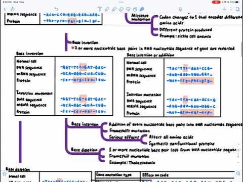 MATRIK SEM 1 - Chapter 7 Mutation - YouTube