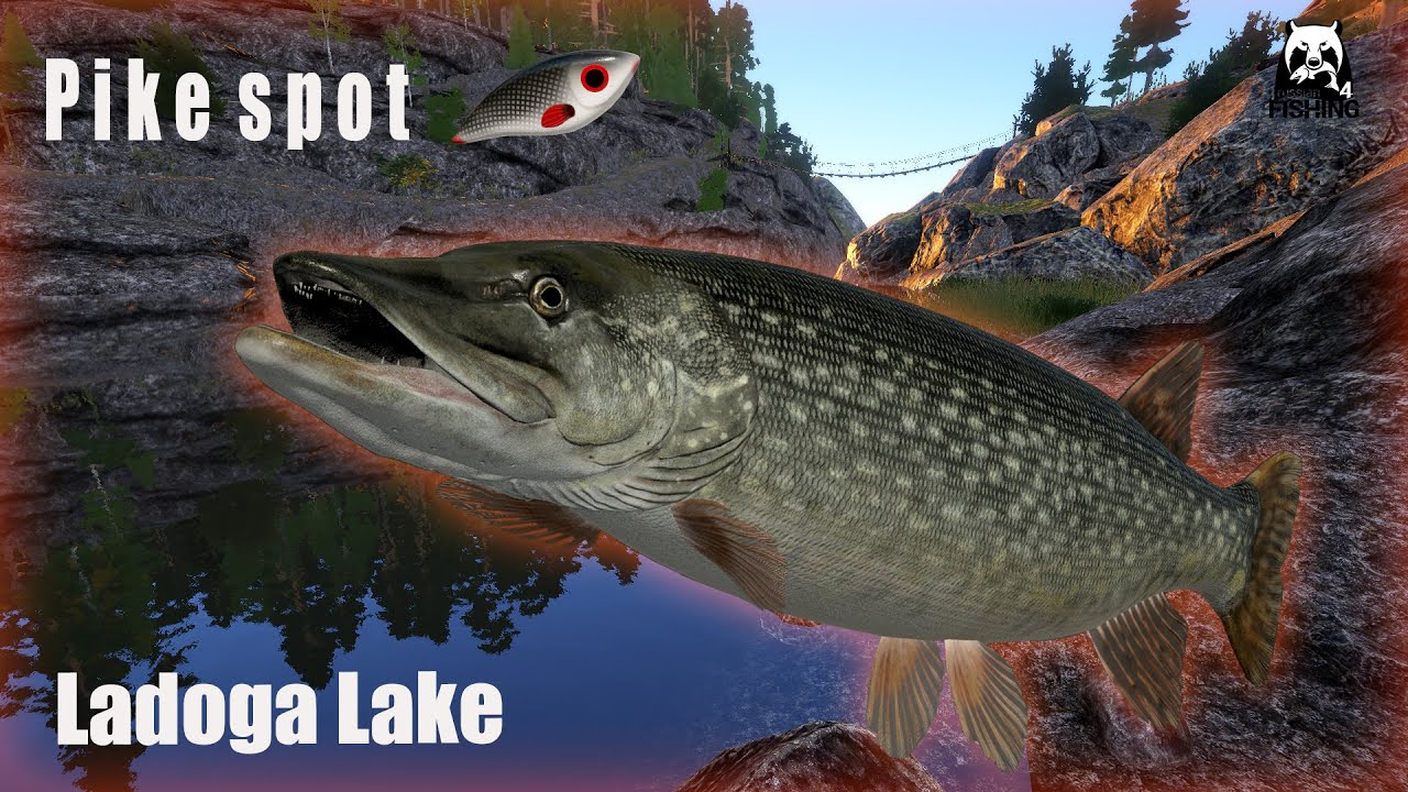 Russian Fishing 4 RF4 Ladoga Lake Active Spot Pike - YouTube