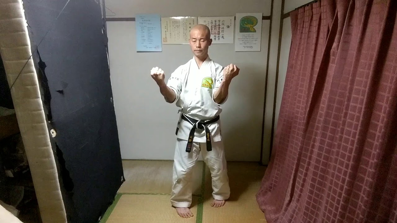 Chinkuchi practice of the Chuudanzuki from the Sanchin. - YouTube