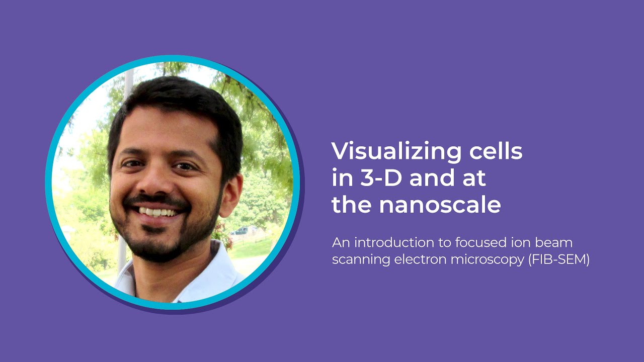 Introduction to focused ion beam scanning electron microscopy (FIB-SEM ...