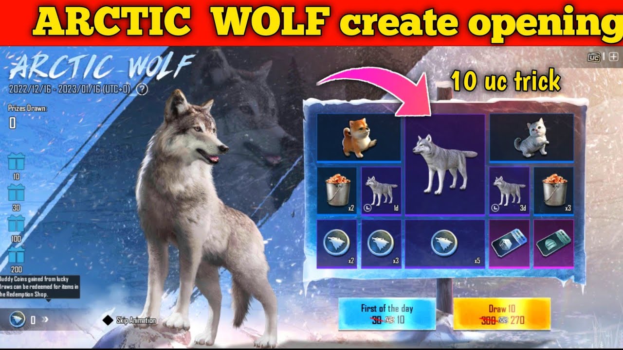 ARCTIC wolf create opening pubg mobile l ARCTIC wolf event pubg l ...