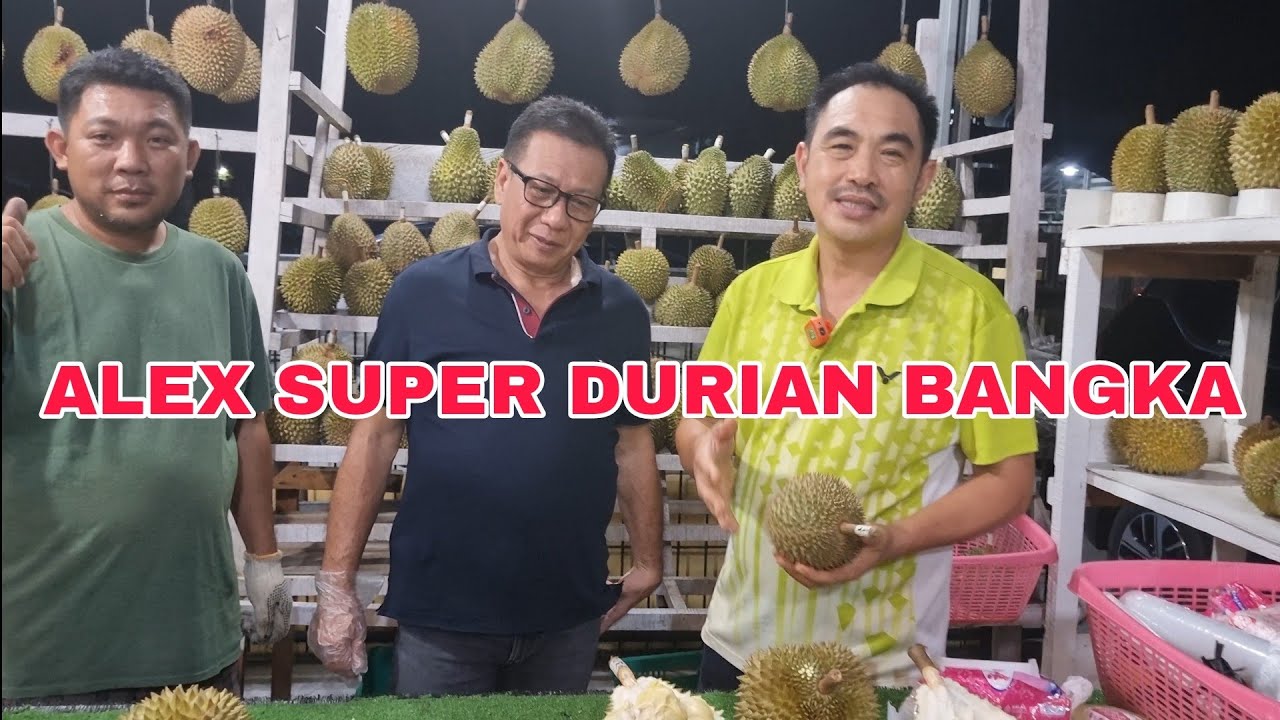 ALEX SUPER DURIAN BANGKA - YouTube