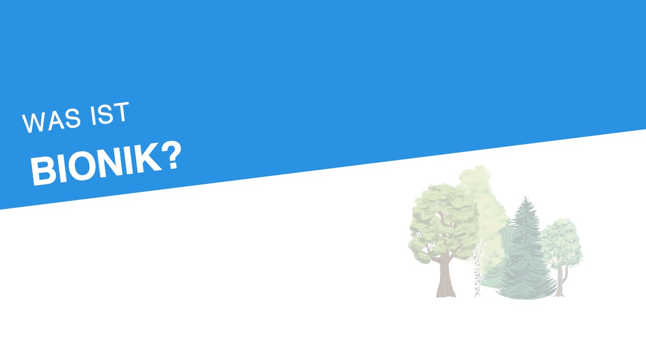 WAS IST BIONIK? | Biologie | Ökologie - YouTube