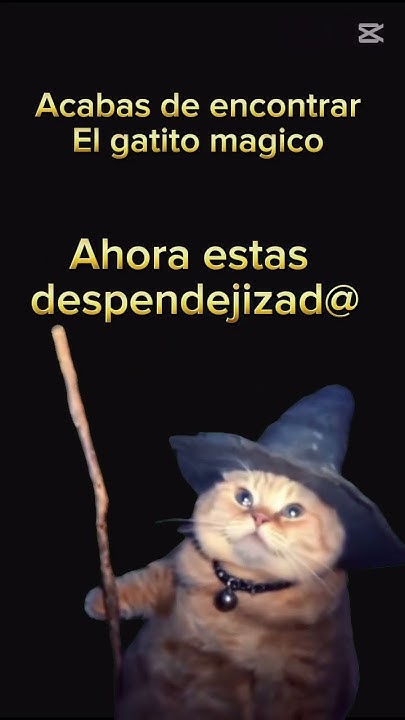 AcAbAs De EnCoNtRaR eL gAtItO mAgIcO🙀 aHoRa EsTáS DePeNdEjIzAd@😹 - YouTube