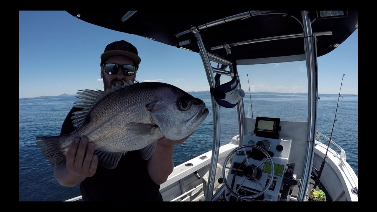 EP2 - Port Macquarie fishing Snapper & Pearl Perch 2020 - YouTube