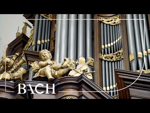 Bach - Christ, unser Herr, zum Jordan kam BWV 684 - Smits | Netherlands Bach Society