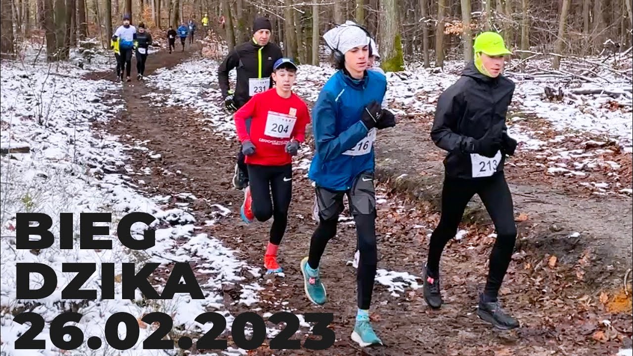Panewnicki Bieg Dzika. 26.02.2023 - YouTube