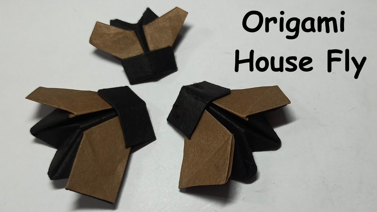 DIY Paper House Fly: Origami Tutorial for a Cute and Fun Paper Insect ...