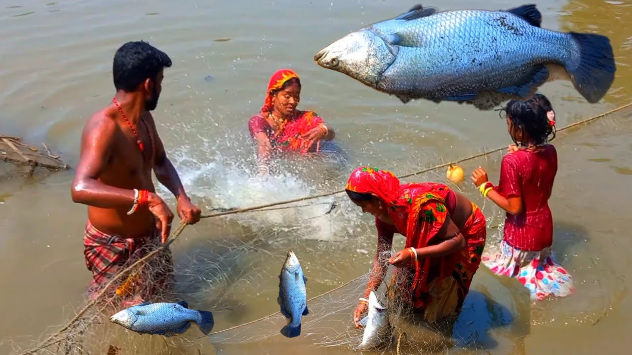 Pate 51 10 MILLION BIG FISHES AND SAMUNDAR River Fish Everyday caught ...