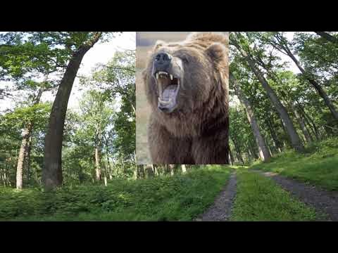 Mongoose Bash Mountain Bike - Suspension Upgrade - YouTube