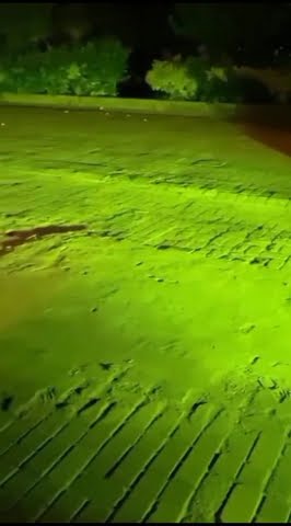 Lime Green Fog light Led / H11 For More Details Message On WhatsApp ...