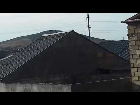 Bağırmak Böyle olurmuşşş