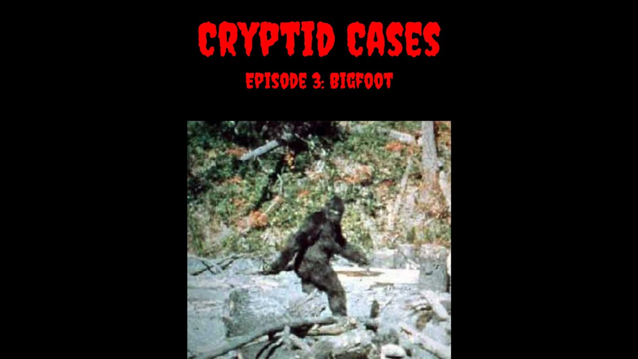 Cryptid Cases - Episode 3: Bigfoot - YouTube