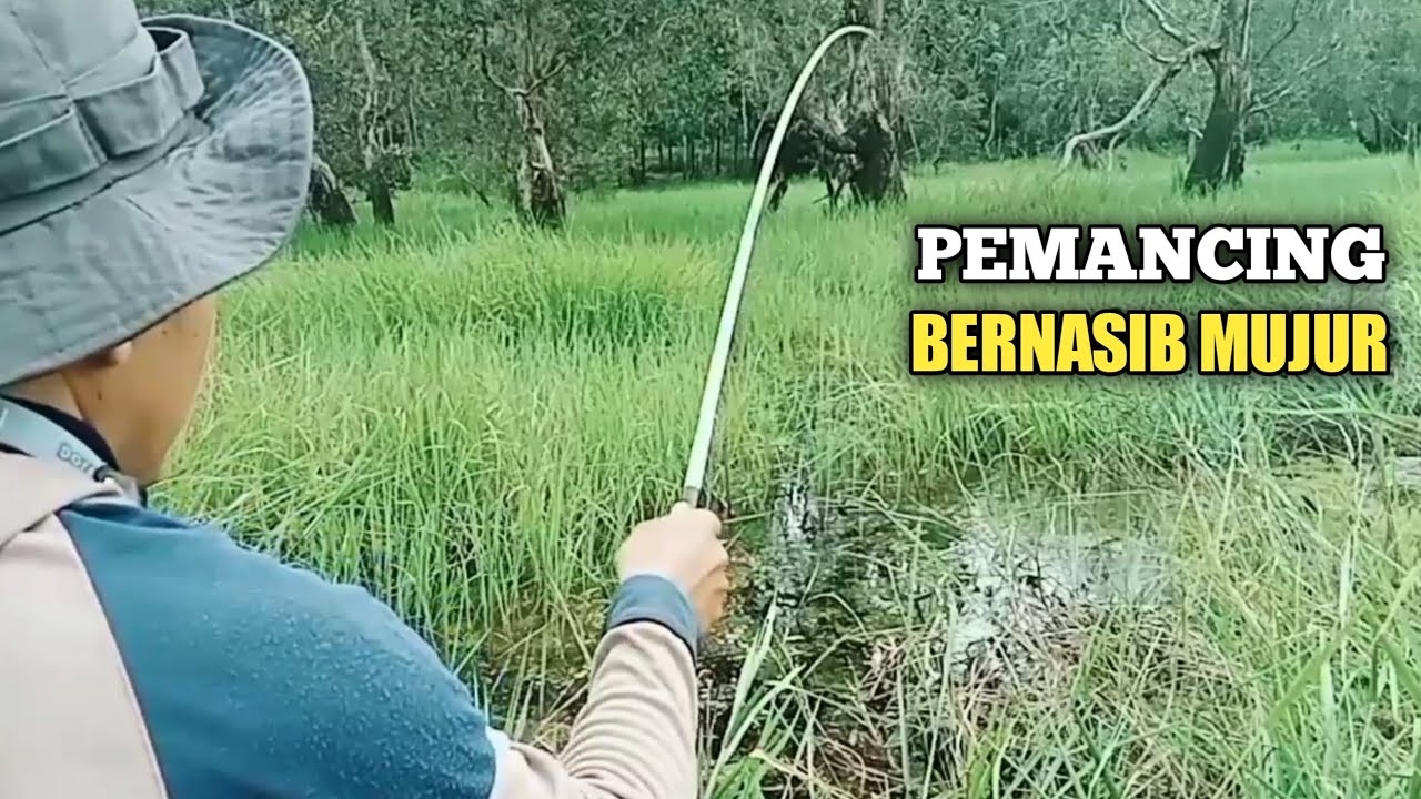 mancing di spot rawa rawa .. pemancing bernasib mujur di manapun spot ...