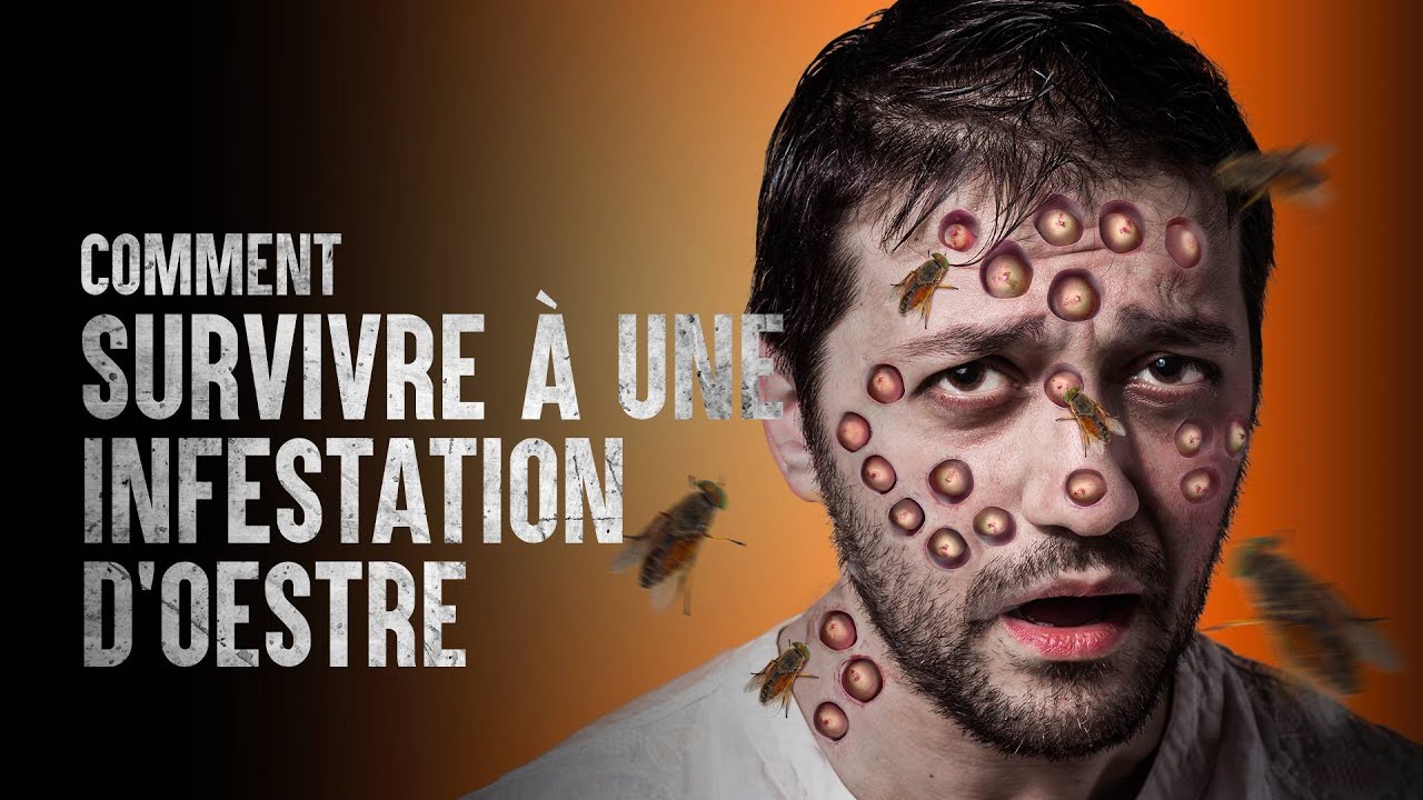 Comment survivre à une infestation d’oestre - YouTube