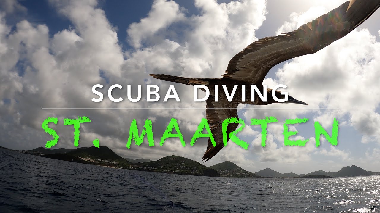 Scuba Diving St. Maarten Vlog - Week 22, 2024 - YouTube