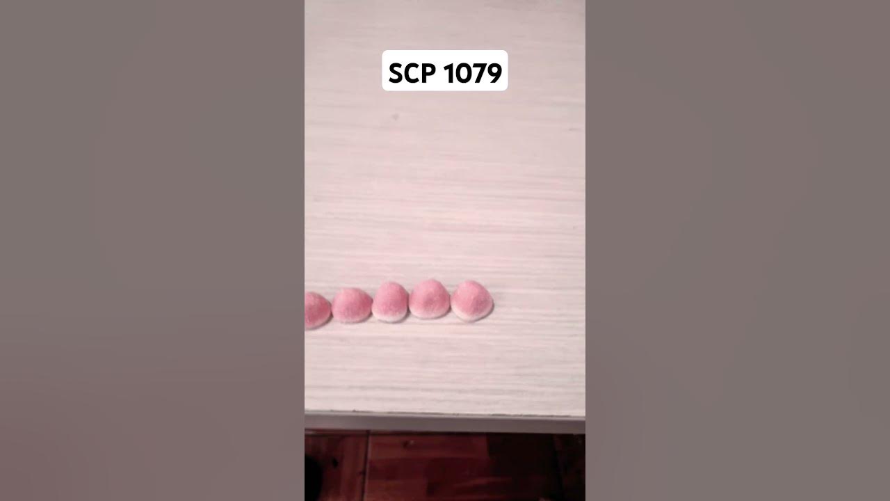 scp 1079 🍓🍡 - YouTube