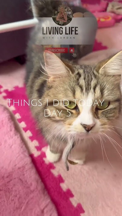 Things I did today day5 #thingsididtoday #everydaylife #mylife # ...