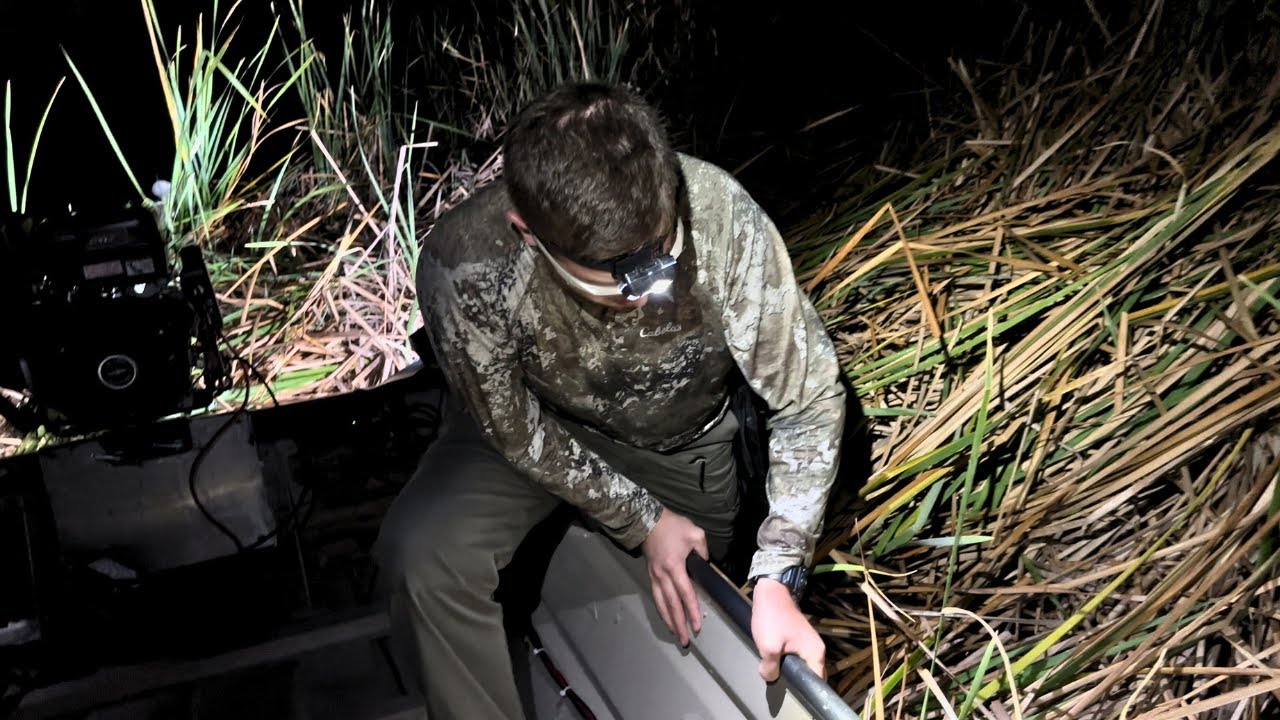 Stuck in the Swamp at Night - YouTube