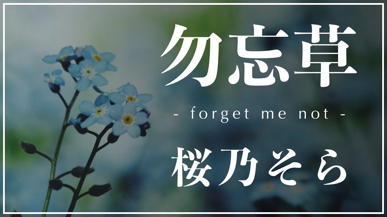 Myosotis -forget me not- / Rio feat. Haruno Sora - YouTube