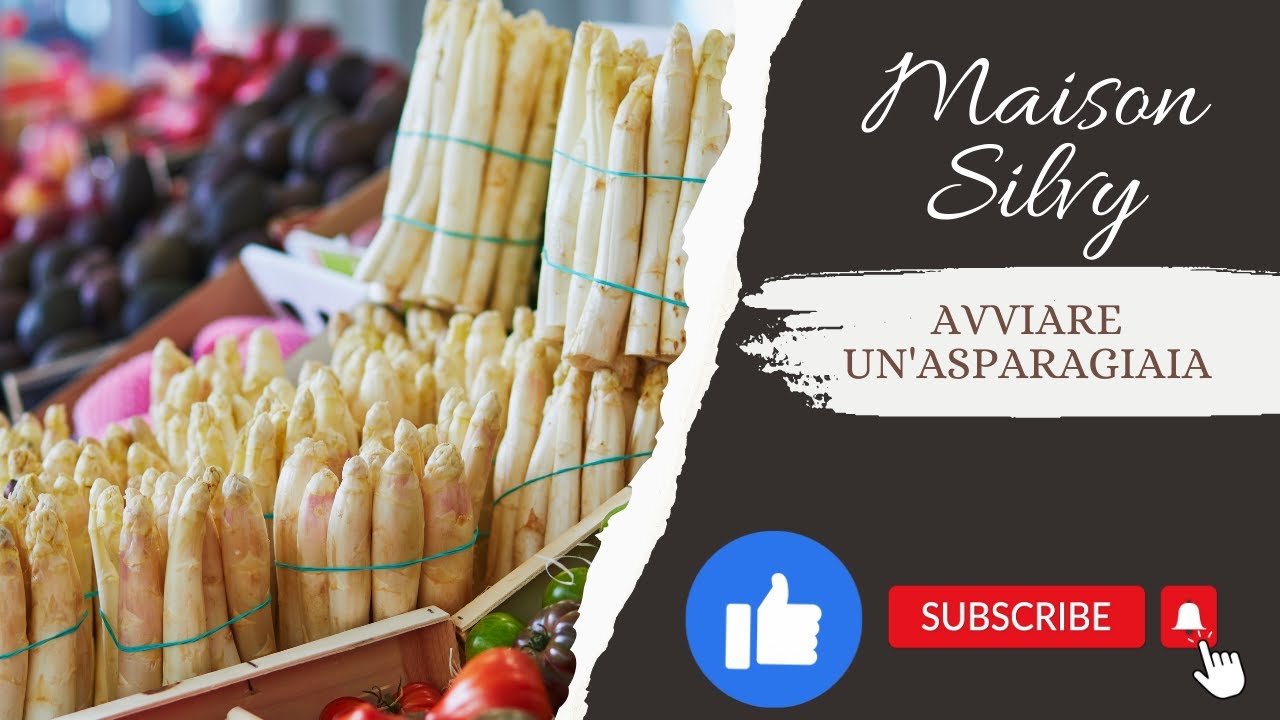 Come avviare un'asparagiaia - Semina degli asparagi e curiosità - YouTube