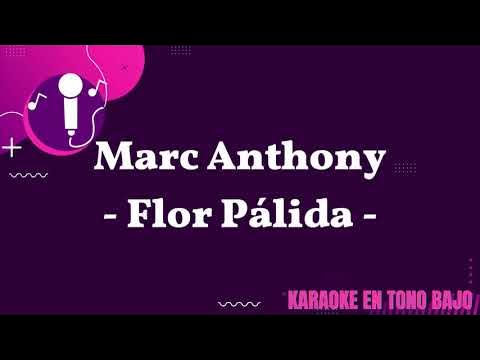 Flor Pálida (Marc Anthony) Karaoke en Tono Bajo | Cuida el Amor en Casa ...