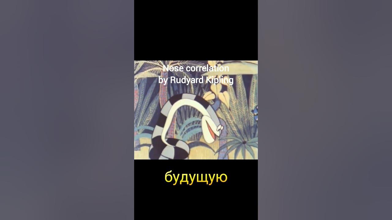 "Vantage number one!" said the Bi-Coloured-Python-Rock-Snake. #shorts # ...