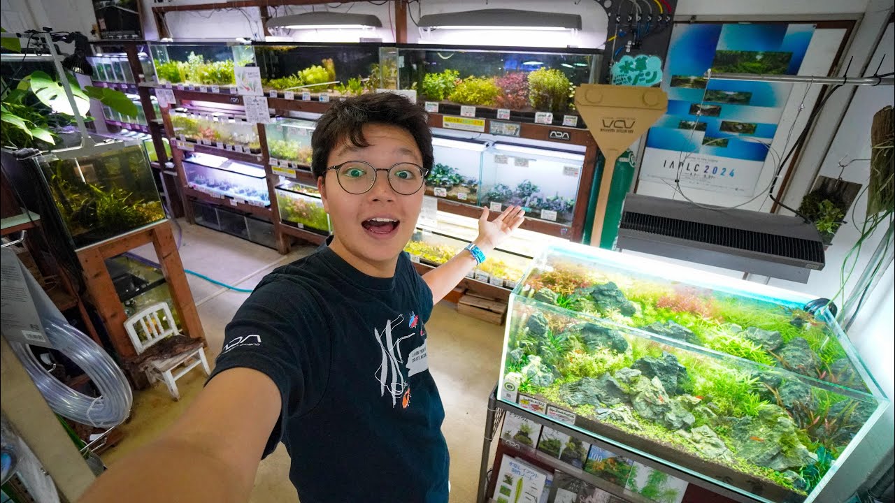 Traditional Japan Fish Store Tour! Beautiful Planted Aquariums!! - YouTube