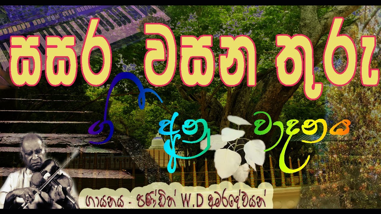 Sasara Wasana Thuru | Live Instrument Cover | Pandith WD Amaradewa ...