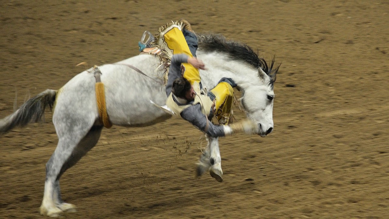 2018 Bareback Riding Rodeo, by Anatoly Lerner, see https://youtu.be ...