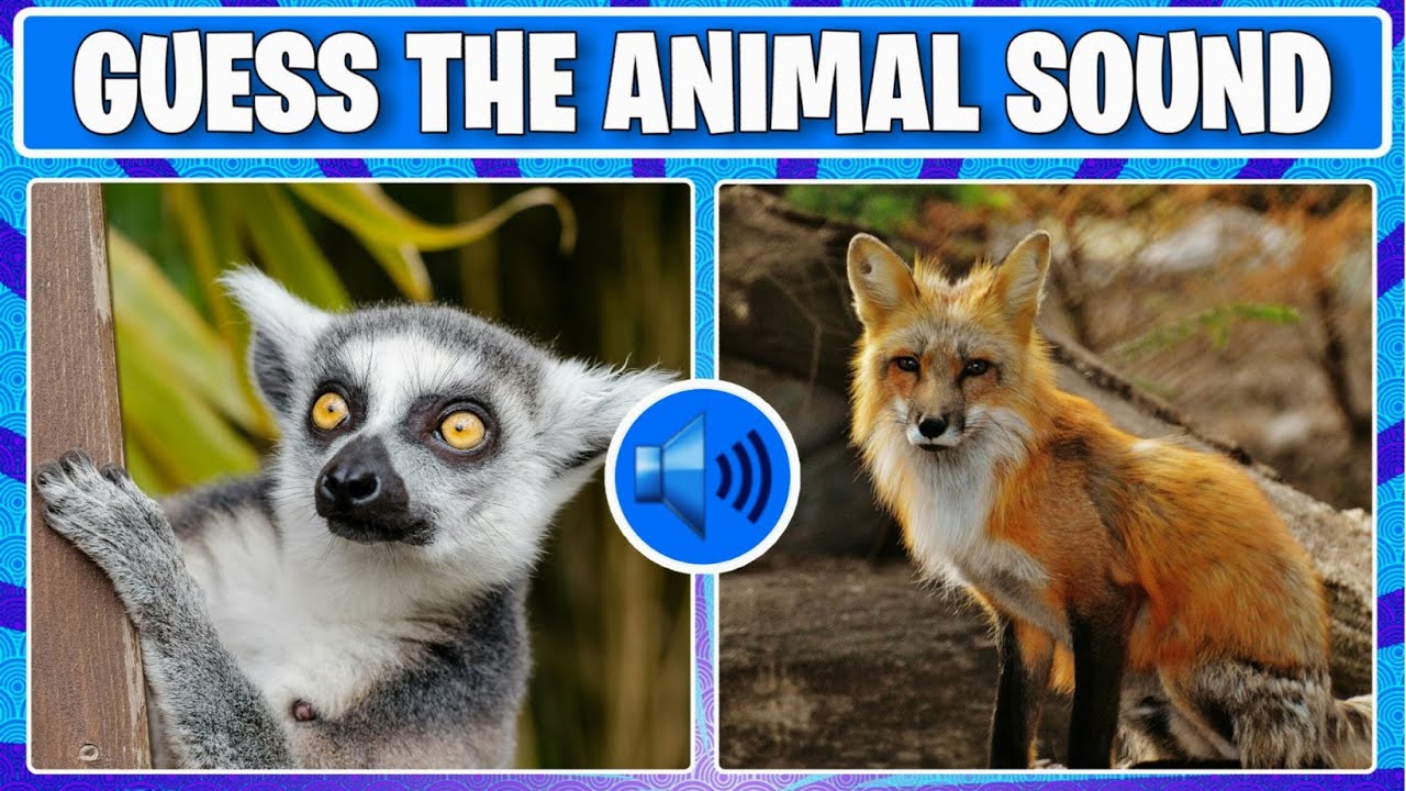 Guess the Animal Sound Game - YouTube