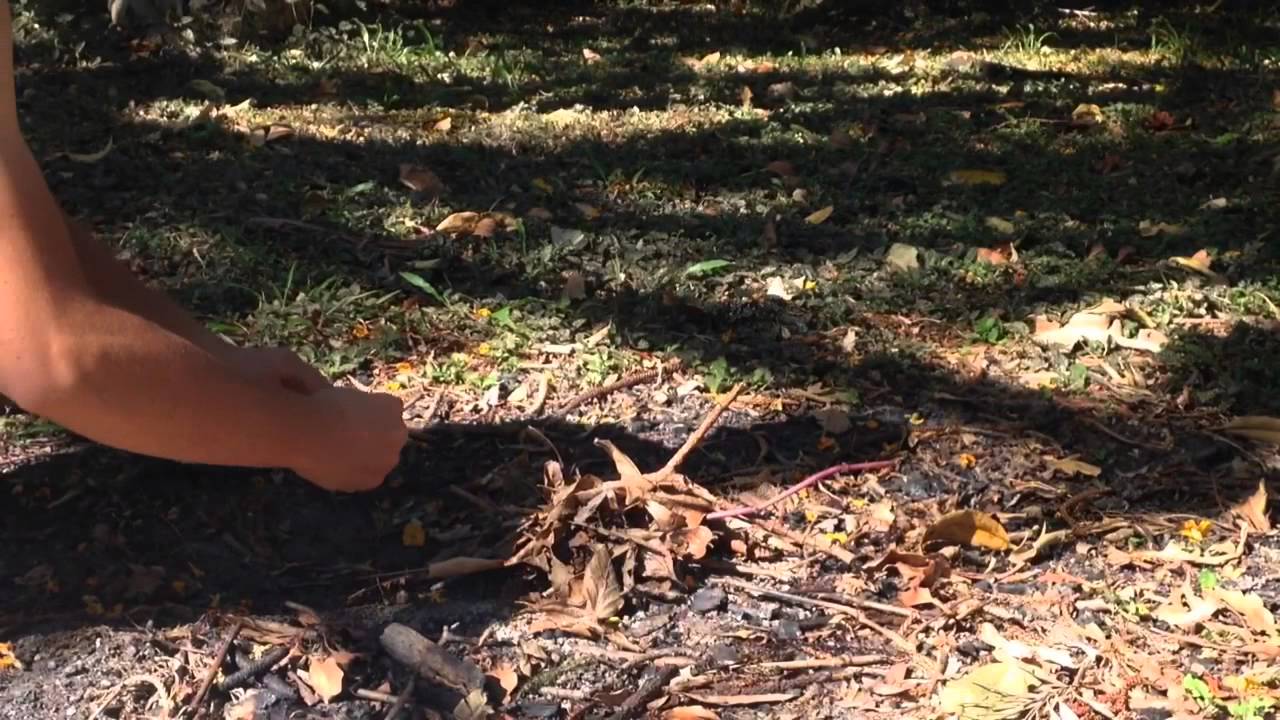 How to light a fire with a flint - YouTube