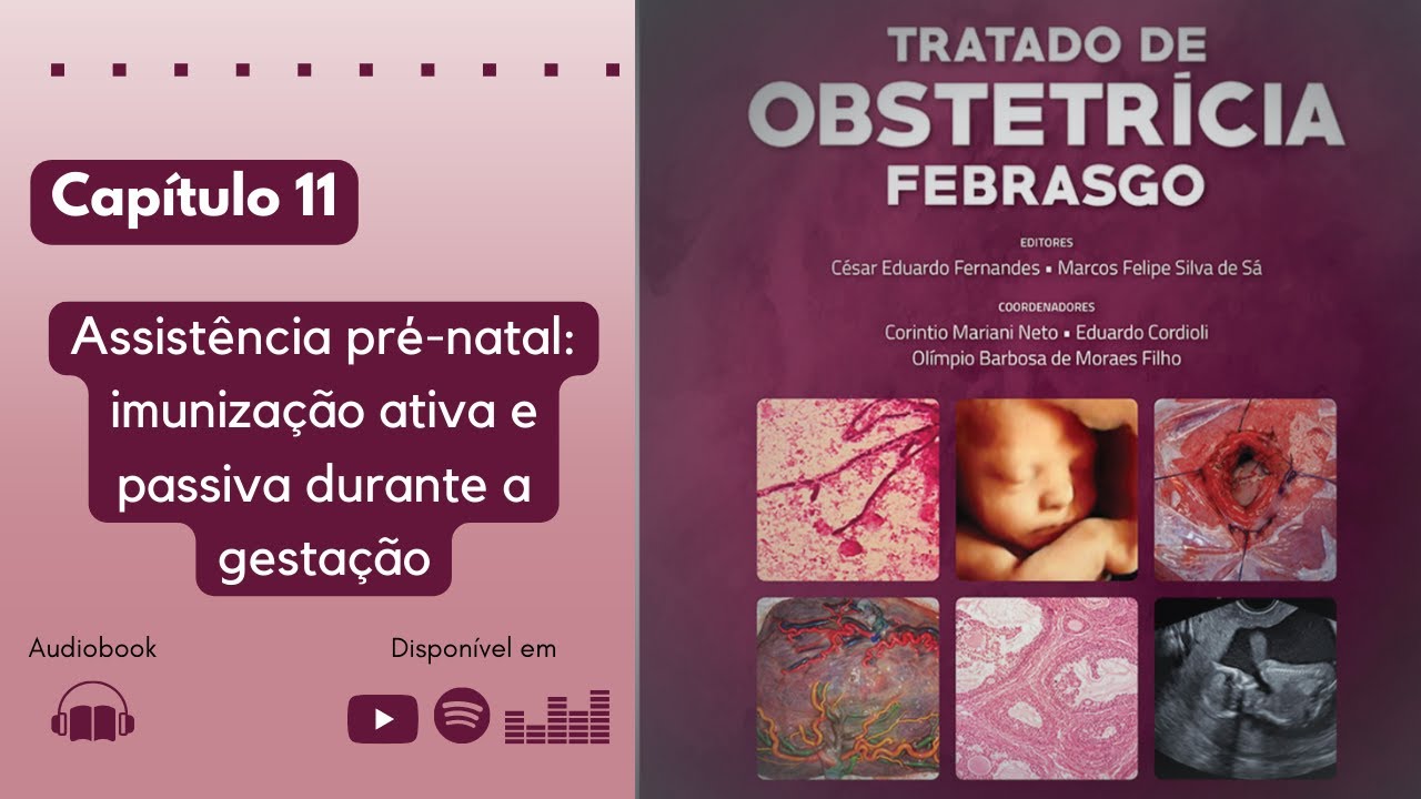 Tratado de Obstetrícia FEBRASGO - Capítulo 11 Assistência pré-natal ...