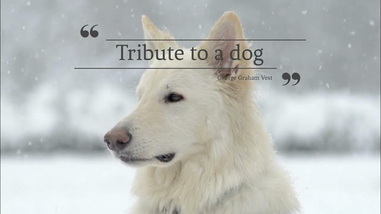 Tribute to the dog - George Graham Vest - YouTube