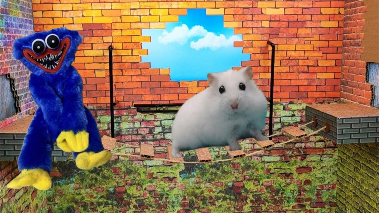 The meeting of the hamster with Hagi Vagi. Adventures of a hamster. A ...