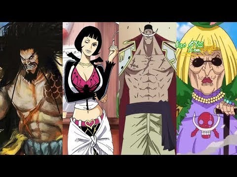 Who was part of the Legendary Rox Pirates? - Theory One Piece - YouTube