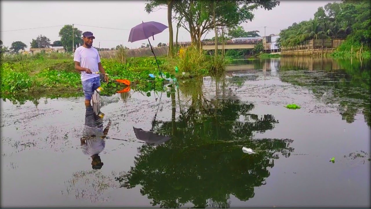 বিল থেকে পুঁটি মাছ ধরা | Fishing Videos | Bangladesh Fishing Club - YouTube