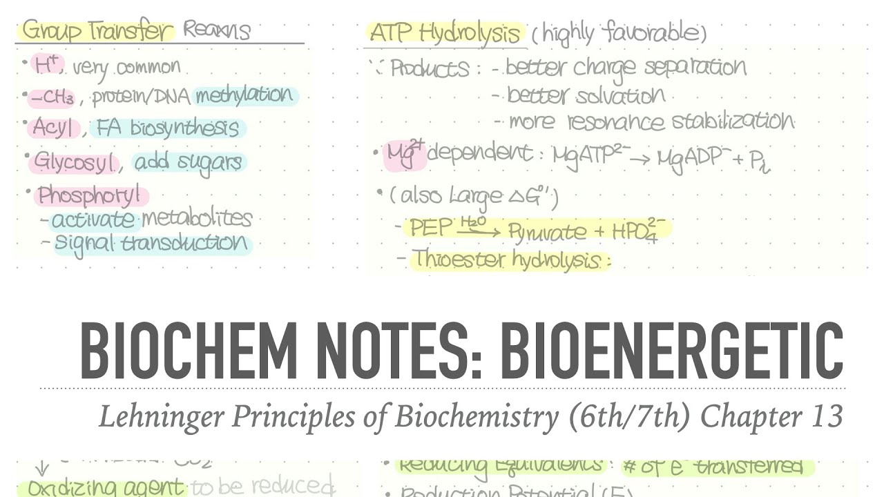 1001 Notes 📒 Ch 13 Bioenergetic 📝 Lehninger Principles of Biochemistry ...
