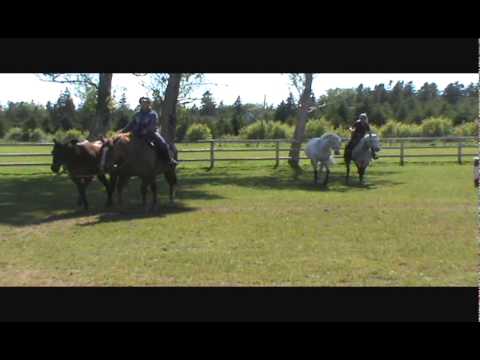 Ron Pyne 3* Parelli Professional, Briarrose Stables 2015 Clinic ...