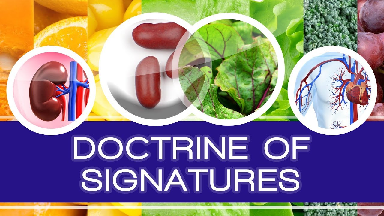 Doctrine Of Signatures What Is The Doctrine Of Signatures And What doctrine-of-signatures-what-is-the-doctrine-of-signatures-and-what
