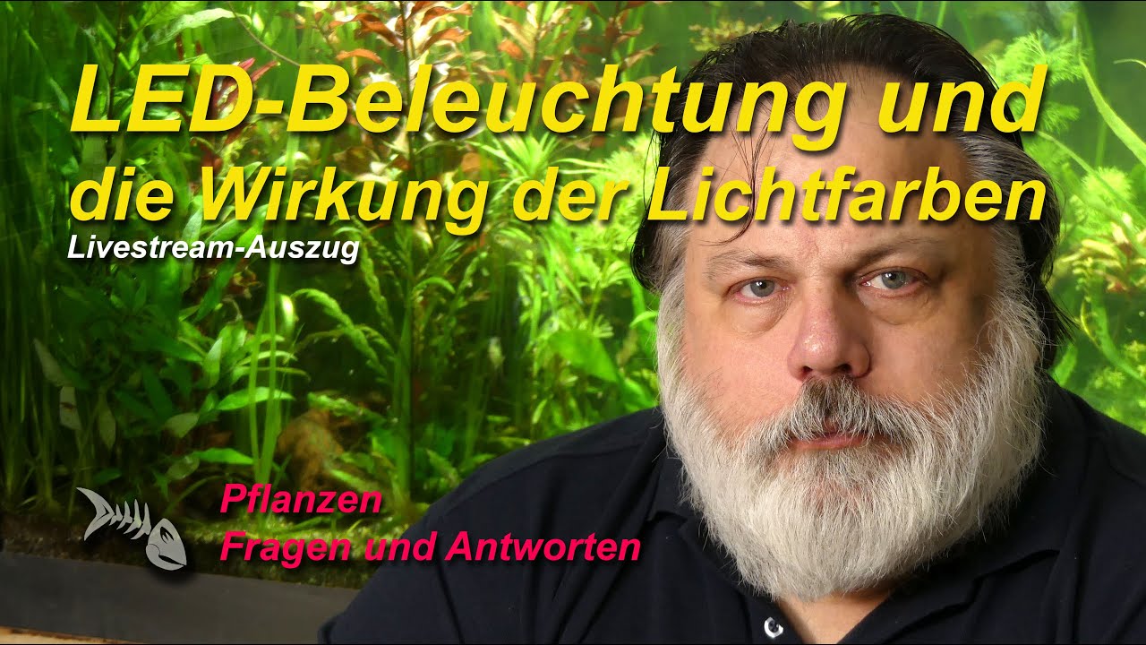 LED-Beleuchtung und die Wirkung der verschiedenen Spektren auf die ...