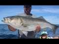 Cod Fishing Charters | Escape2Forster