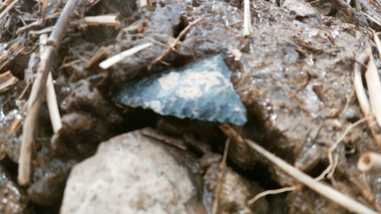 Knox co. Ohio Late woodland culture Madison projectile point / assorted ...