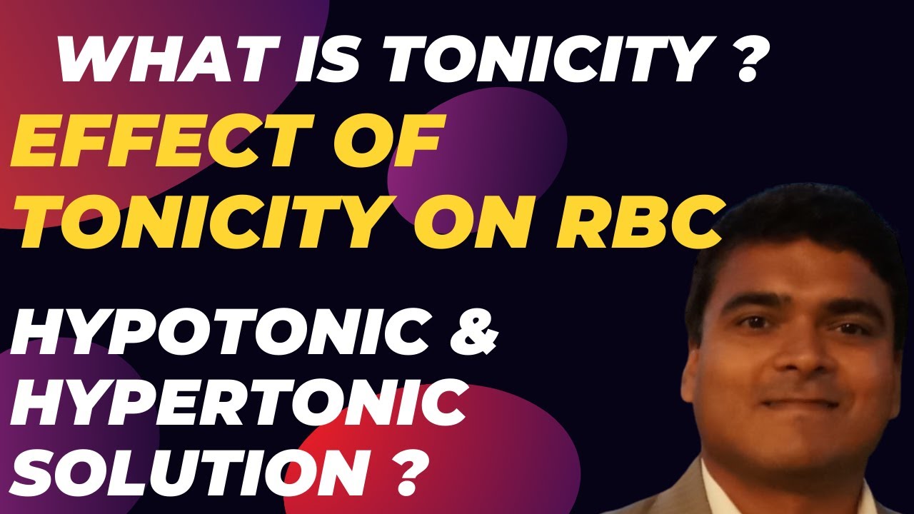 Tonicity and its effects on red blood cells | RBC | Hypertonic ...