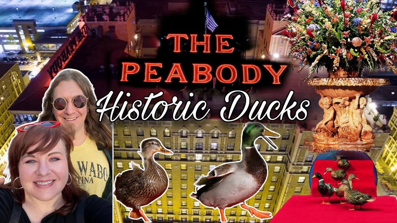 HISTORIC PEABODY HOTEL and DUCKS ELVIS memorabilia Lansky Brothers ...