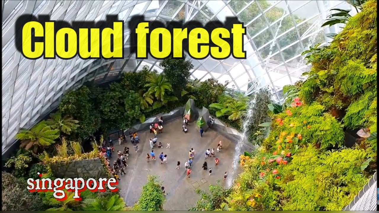 Inside Cloud Forest @ Gardens by the bay | Singapore Travel Guide ...