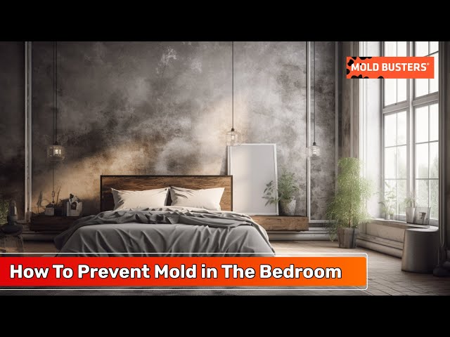 Mold In My Bedroom Get Rid Of Damp In The Bedroom | Blog | Garratt's