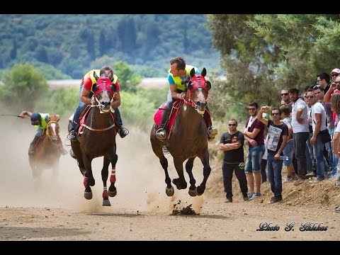 5οι Ιππικοί Αγώνες Αγ. Τριάδος - YouTube