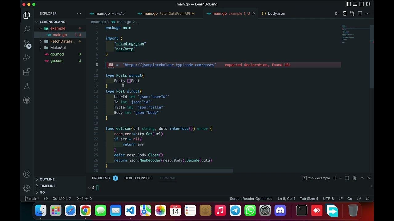Fetch Data From API in GoLang - YouTube